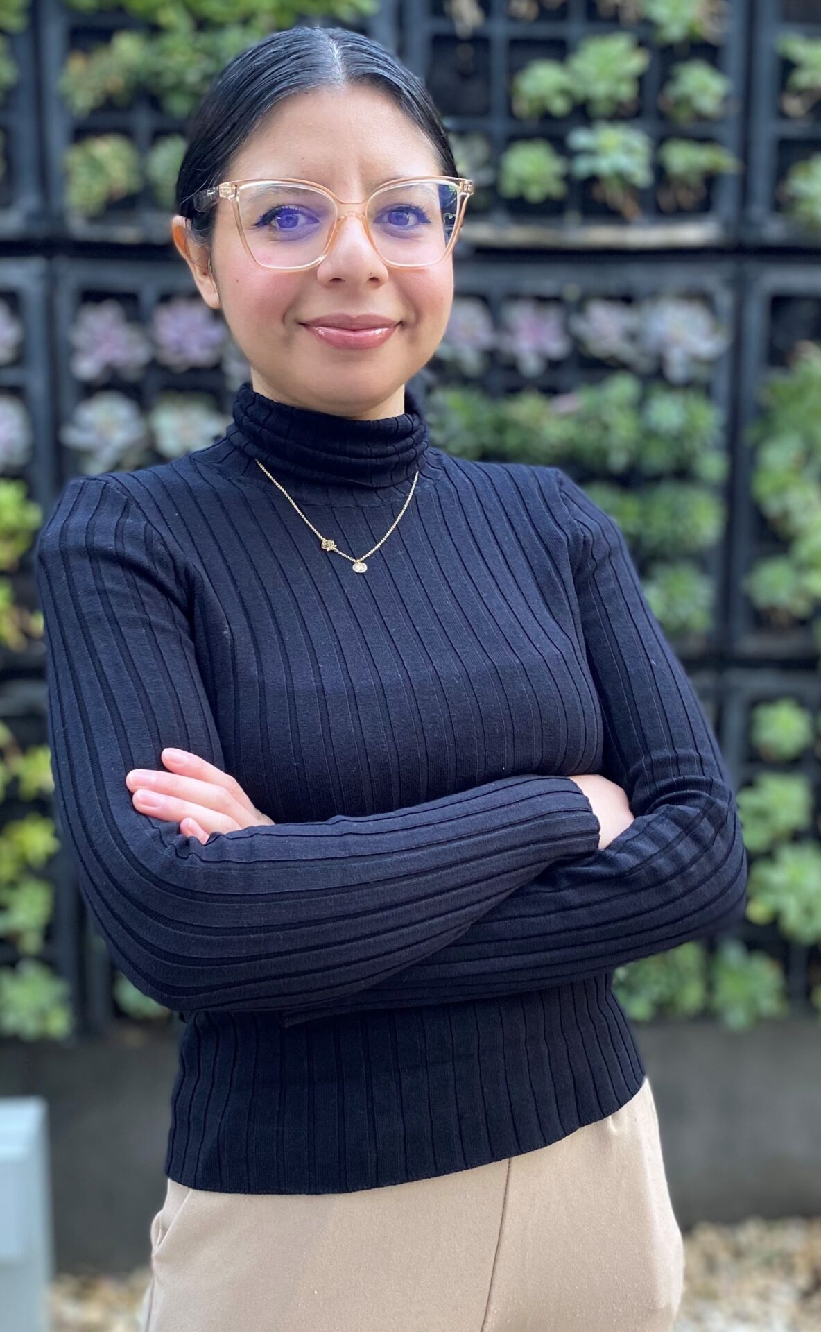 About Merhab Robinson & Clarkson Business and Estate Law